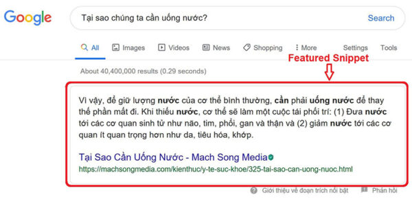 Featured Snippet là gì? Cách tối ưu Snippet hiệu quả lên top