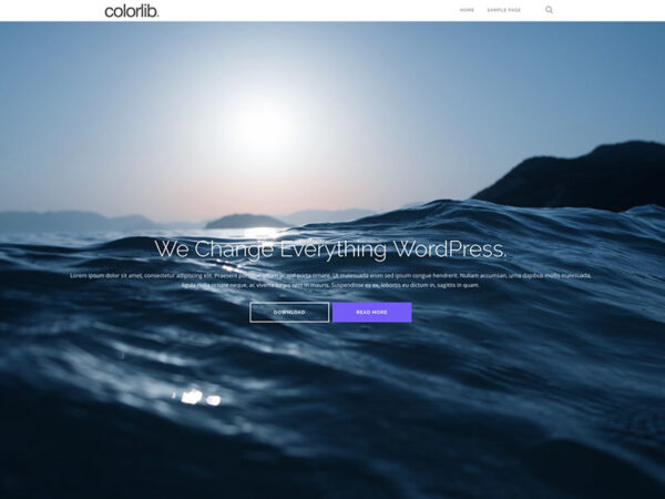60+ Các theme WordPress đẹp miễn phí, chuẩn Seo, mới nhất